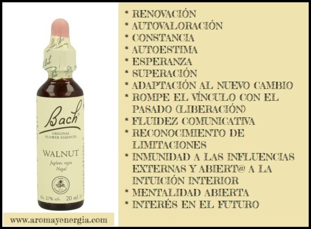 🐝 FLOR DE BACH WALNUT PARA RECIBIR A LA PRIMAVERA (2) - Belén Nevado ...
